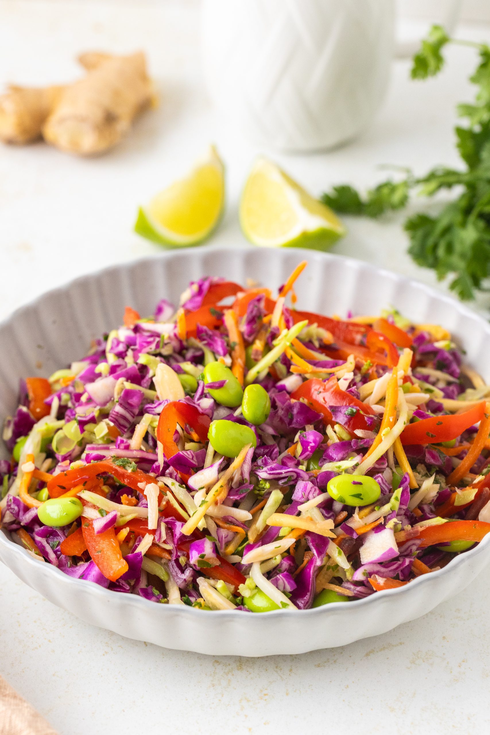 Asian Cabbage Salad - Tasty Homemade Recipes